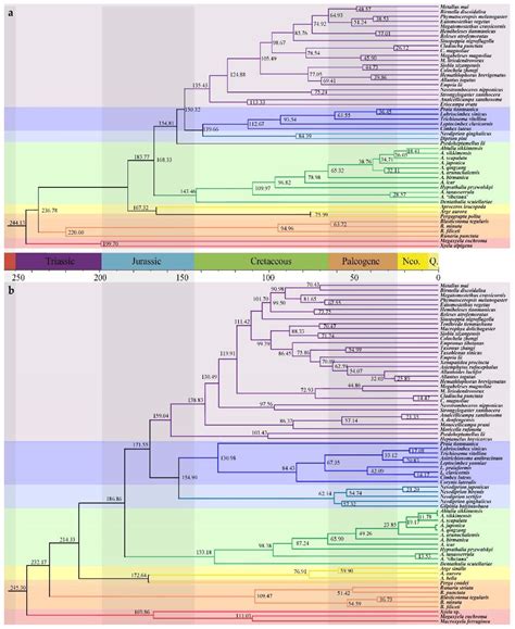 Phylogenomic Analyses Of The Tenthredinoidea Support The Familial Rank