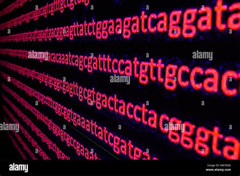 Genome Sequencing The Deciphering Of The DNA Code Write The Sequence Of Nucleotide Bases Stock