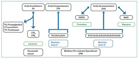 Nuevos Tratamientos Para La Inflamación Ocular
