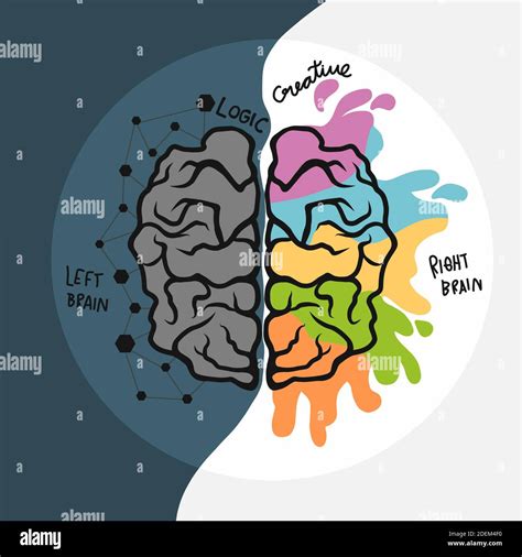 Left Brain Vs Right Brain Cartoon