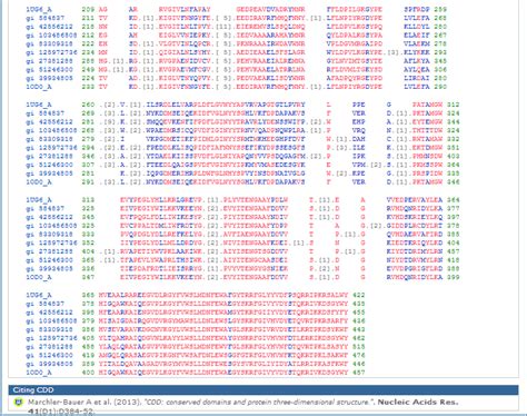 Protein Sequence Lactase