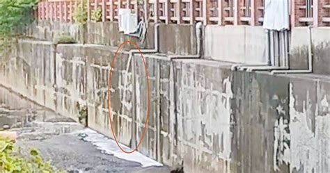 鳳山溪偷排廢水比去年同期暴增20件 高雄市府挨批放任 社會 Ctwant