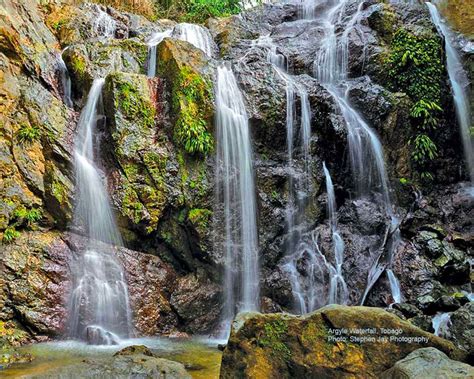 Argyle Waterfall Waynes World Tours