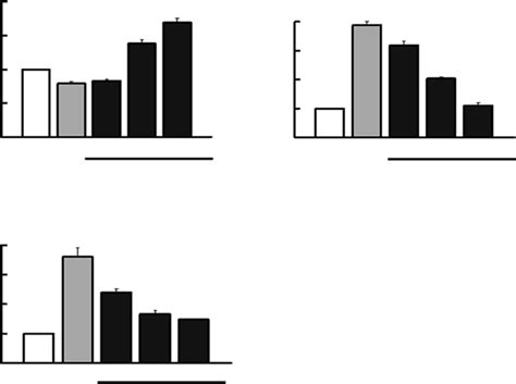 Regulation Of A Adiponectin B Leptin And C Tnfa By Genistein