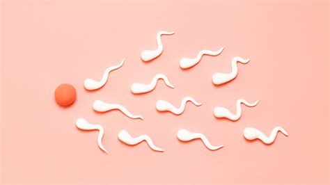 The Best Foods To Improve Sperm Health The Natural Balance
