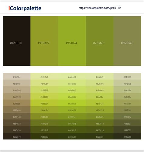 1 Latest Color Schemes With Oil And Wasabi Color Tone Combinations