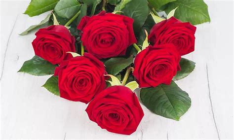 Geraniol De Basf Obtiene Certificado Lower Carbon Footprint