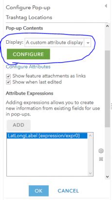 Latitude Longitude Labels With An Arcade Expression ArcGIS Online