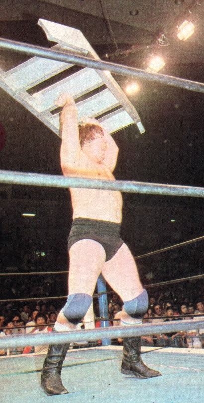 Stan Hansen Tumbex