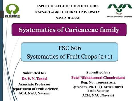 Leaf Apex Type Pdf Geology Science