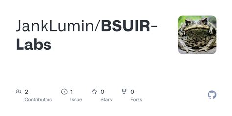 Github Jankluminbsuir Labs