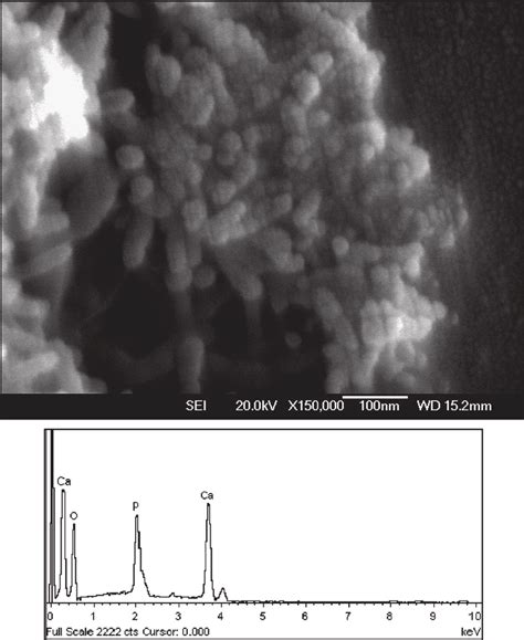 Sem Micrograph A And Energy Dispersive X Ray Analysis Spectrum B Of