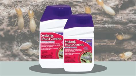 13 Best Termite Killers That Actually Work