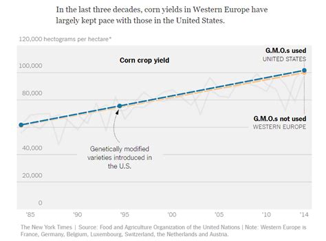 Do Genetically Modified Crops Really Increase Yields