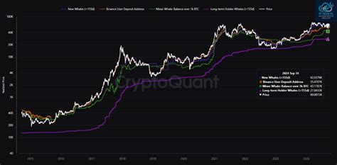 Bitcoin Base Cost Analysis Whales Vs New Investors Cryptoquant