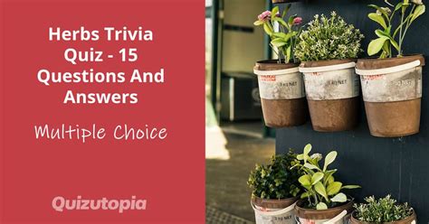 Tallest Trees Trivia Quiz 10 Questions And Answers Quizutopia