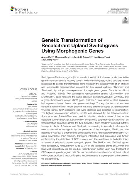 Pdf Genetic Transformation Of Recalcitrant Upland Switchgrass Using Morphogenic Genes