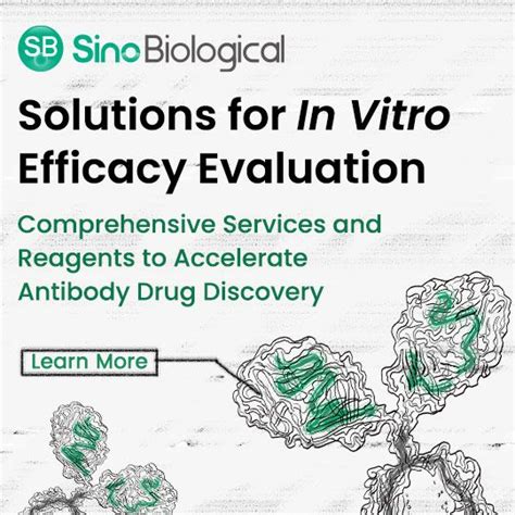Comprehensive Solutions For In Vitro Efficacy Evaluation Technology Networks