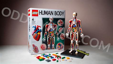 This Human Body Lego Set Is The Perfect Blend Of Educational And