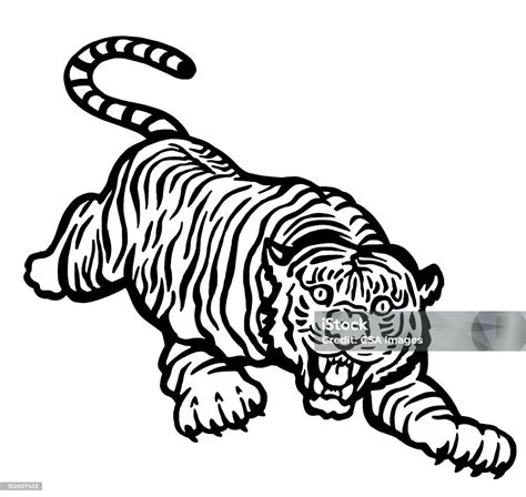 Tiger 덮치다 호랑이에 대한 스톡 벡터 아트 및 기타 이미지 호랑이 흑백 라인아트 Istock
