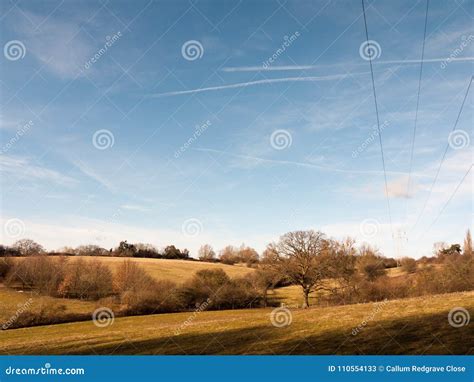View Of Open Green Empty Grass Fields Outside Spring Dedham Vale