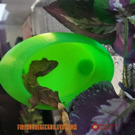 Geckorb Magnetic Reptile Hide Etsy
