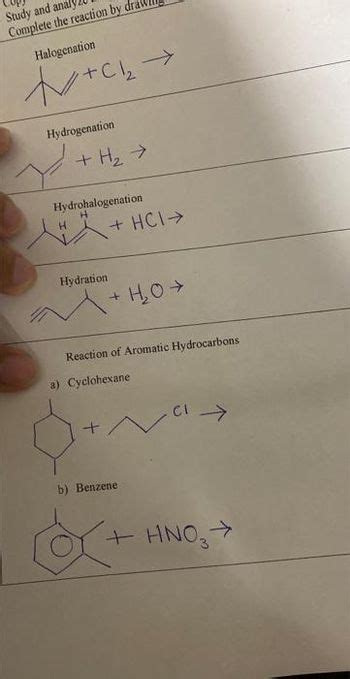 Answered Complete The Halogenation C₁₂ →… Bartleby