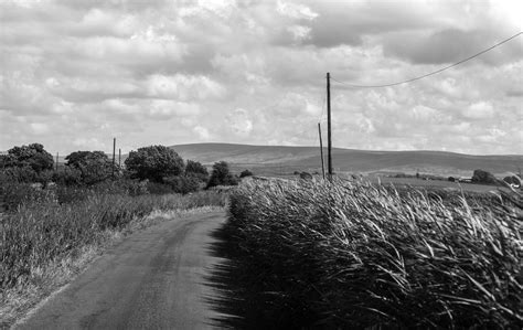 Cockerham Majmarkey Flickr