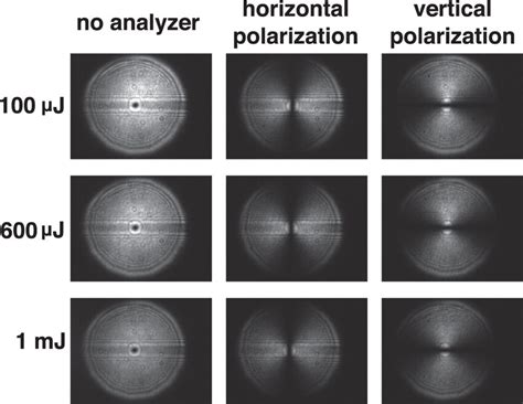 Intensity Distributions Of Converted Radially Polarized Femtosecond Download Scientific