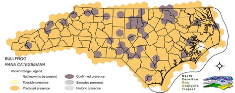 American Bullfrog Range Map At Jessica Jasso Blog