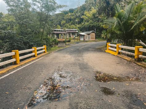 El Yunque Infinity Pool Hike In Naguabo Puerto Rico Complete Guide