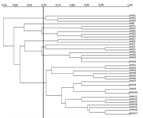 Characterization Of Enterococcus Faecalis Isolates Originating From Different Sources For Their
