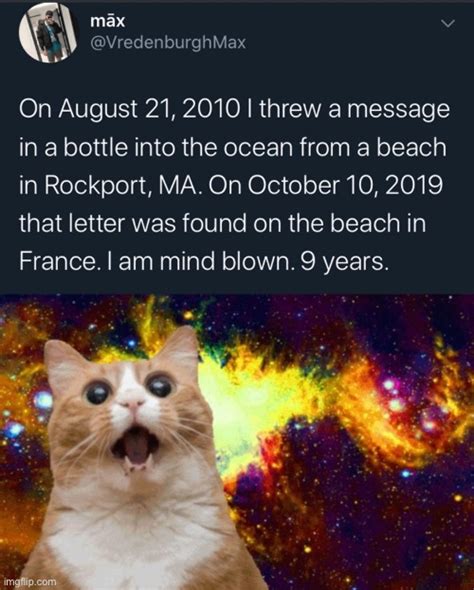 Image Tagged In Mind Blown Cat Imgflip
