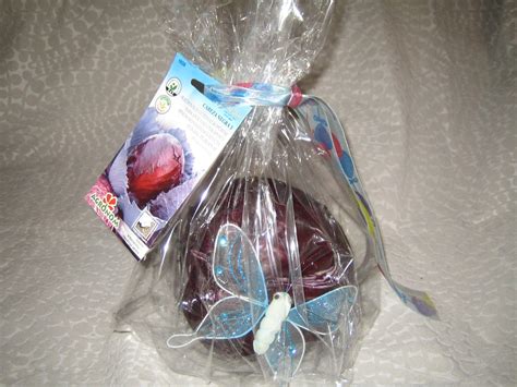 Raimundata Dovana Vyrui