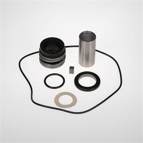Seal Repair Kit For Spx Cl 80 160 22kw And 100 160 223kw Gvz Glasshouses