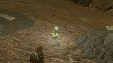 Totk Depths Underground Map All Lightroot Locations Zelda Tears