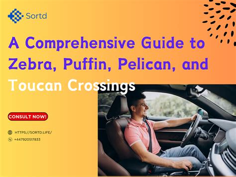 A Comprehensive Guide To Zebra Puffin Pelican And Toucan Crossings