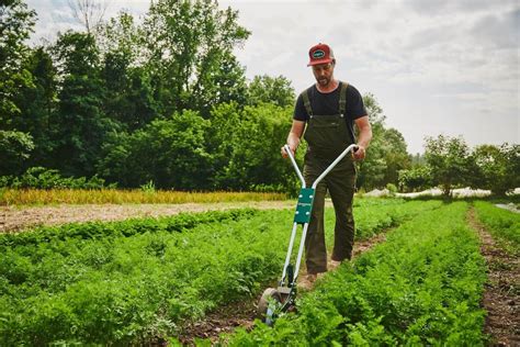 What Is A Flail Mower And What Can You Do With It The Market Gardener