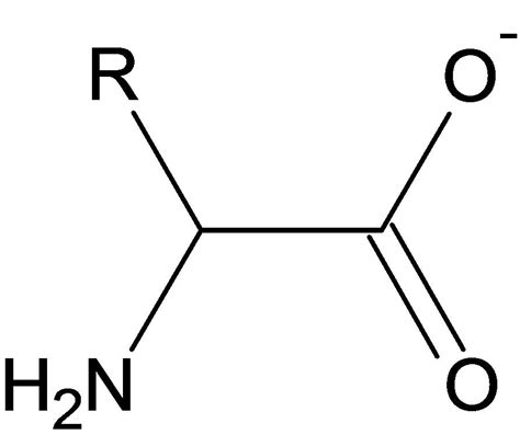 The Chemical Composition Of Silk Cotton And Wool Fiber