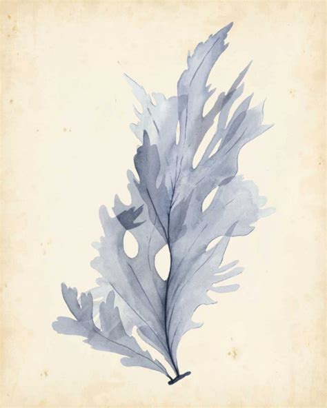 Somerset House Images Watercolor Sea Grass Vi
