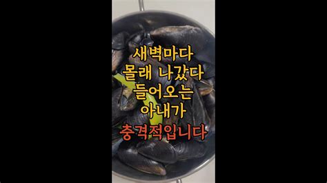 새벽마다 몰래 나가는 아내가 충격적입니다 Youtube