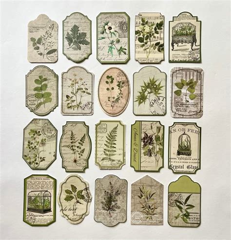 20 Vintage Botanical Tag Stickers Large Size Beautiful Floral Plant