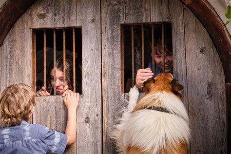 Lassie Ein Neues Abenteuer Szene 10 Film Rezensionende