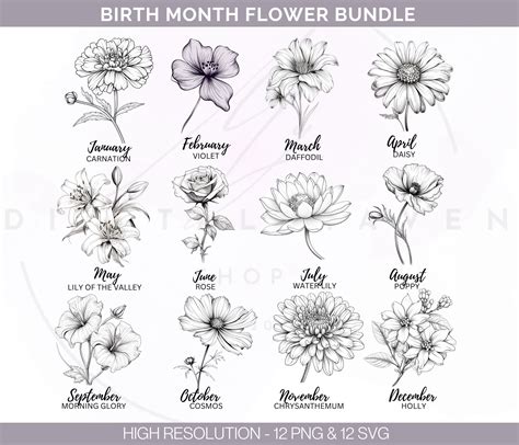 Birth Month Flower Bouquet Svg Bundle Birth Month Flower Flower Svg
