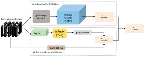 Cross View Gait Recognition Method Based On Multi Teacher Joint
