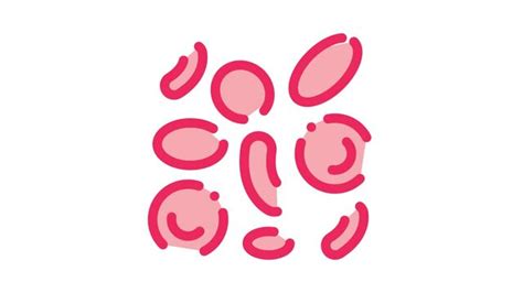 รูปภาพbiconcave เลือกดูภาพถ่ายสต็อก เวกเตอร์ และวิดีโอ100 Adobe Stock