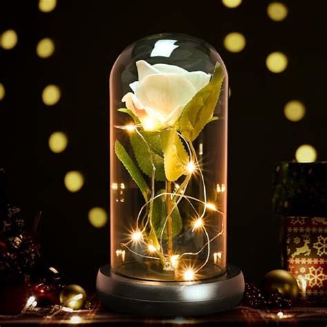 Amazon QUELIEN Birthday Gifts For Women White Roses In Glass Dome