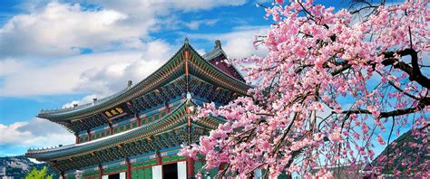 Gói Du Học Hàn Quốc Rẻ Nhất Thị Trường Du Học Hàn Quốc Civilis