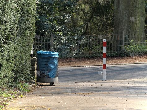 学校院子里的垃圾桶