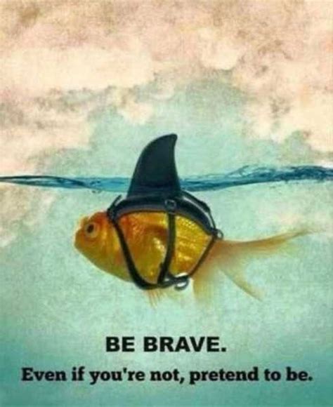 Rohit Singh Posted On Linkedin